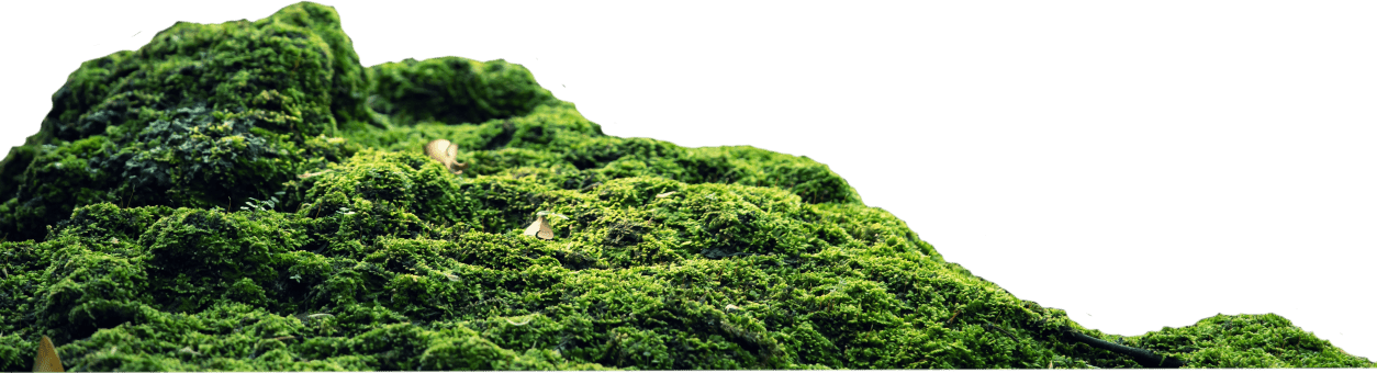 ADGA - When your measure is quality | ADGA